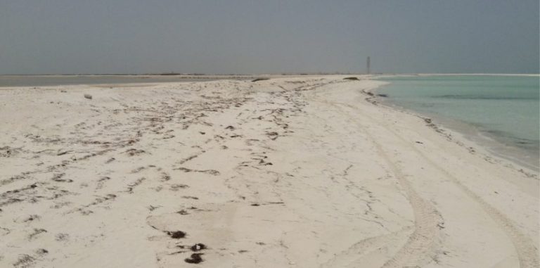 Installation of geocontainers for emergency protection - Ecocoast