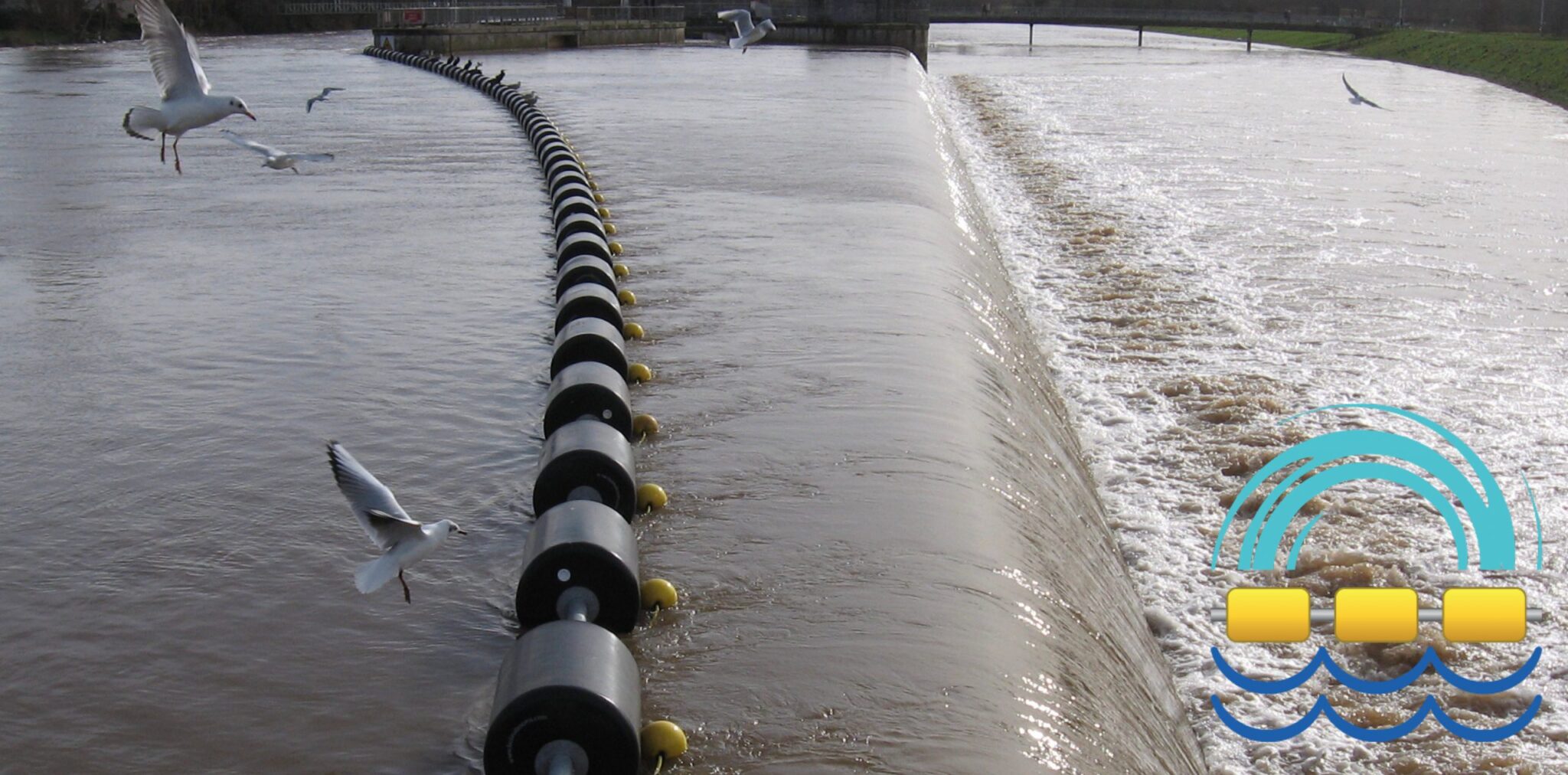 [NEWS RELEASE] Ecocoast acquires Bolina - Ecocoast