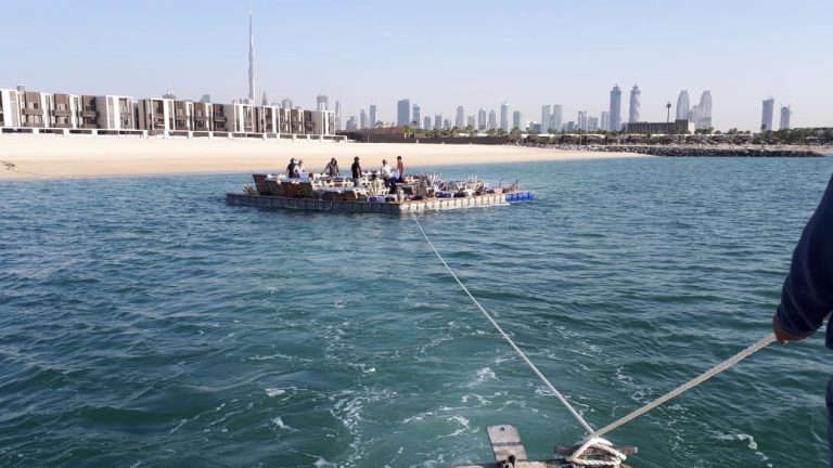 How Ecocoast helped deliver the 2021 NYE fireworks - Ecocoast