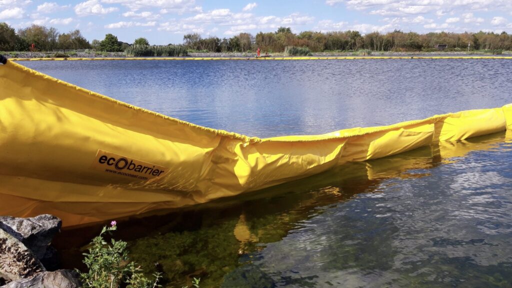 Ecocoast protects blue carbon ecosystems - Ecocoast