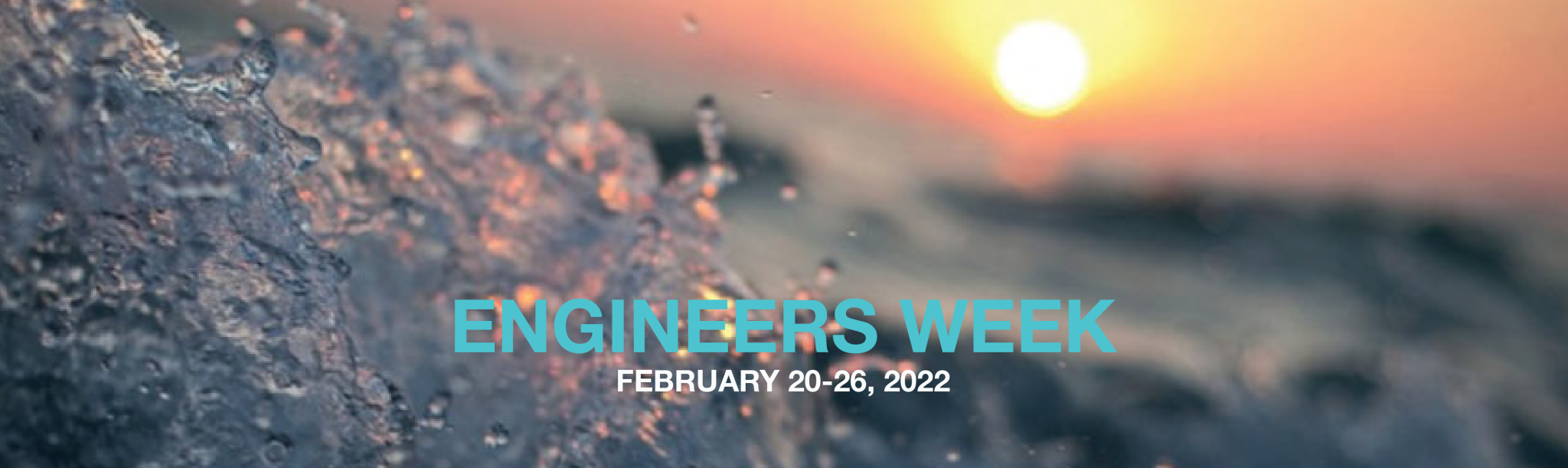 Engineers Week 2022: Solving problems and providing solutions - Ecocoast