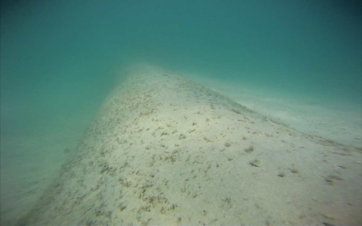 How geosynthetics can help improve coastal protection - Ecocoast
