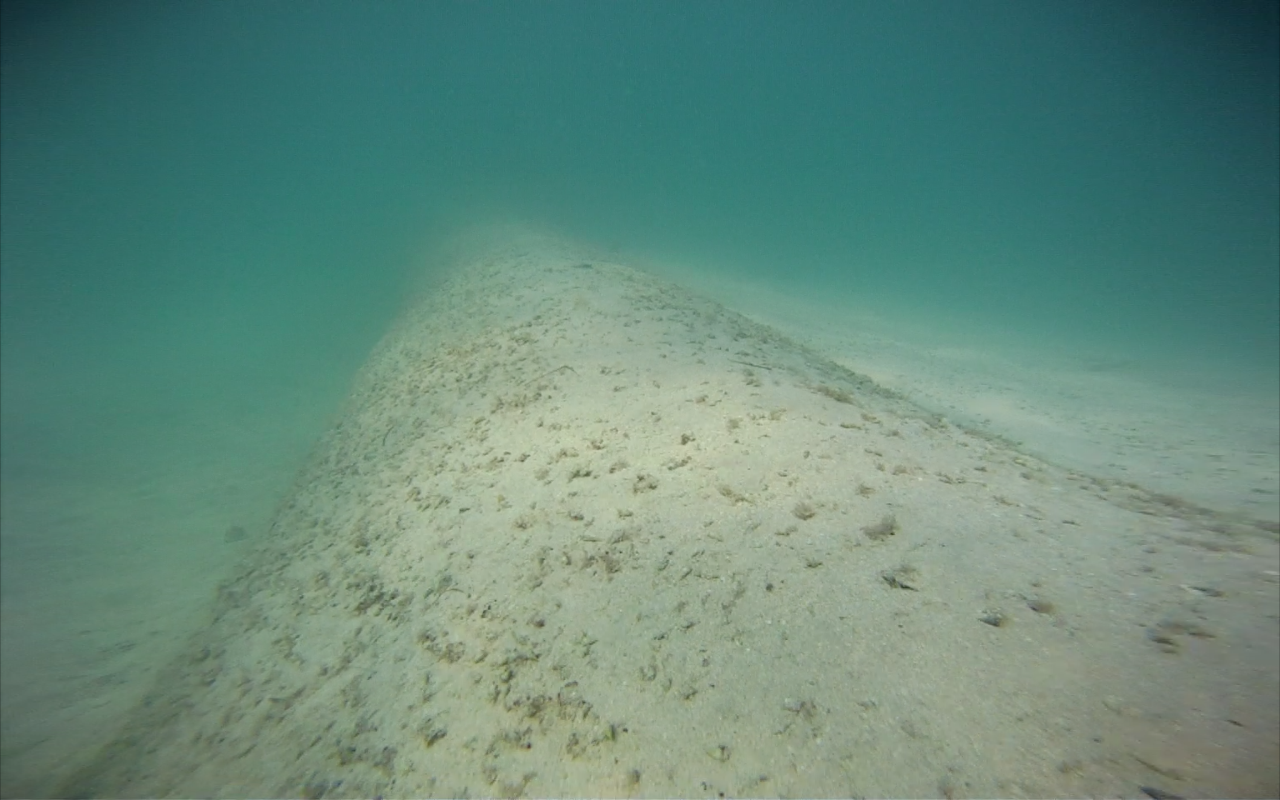 How geosynthetics can help improve coastal protection - Ecocoast