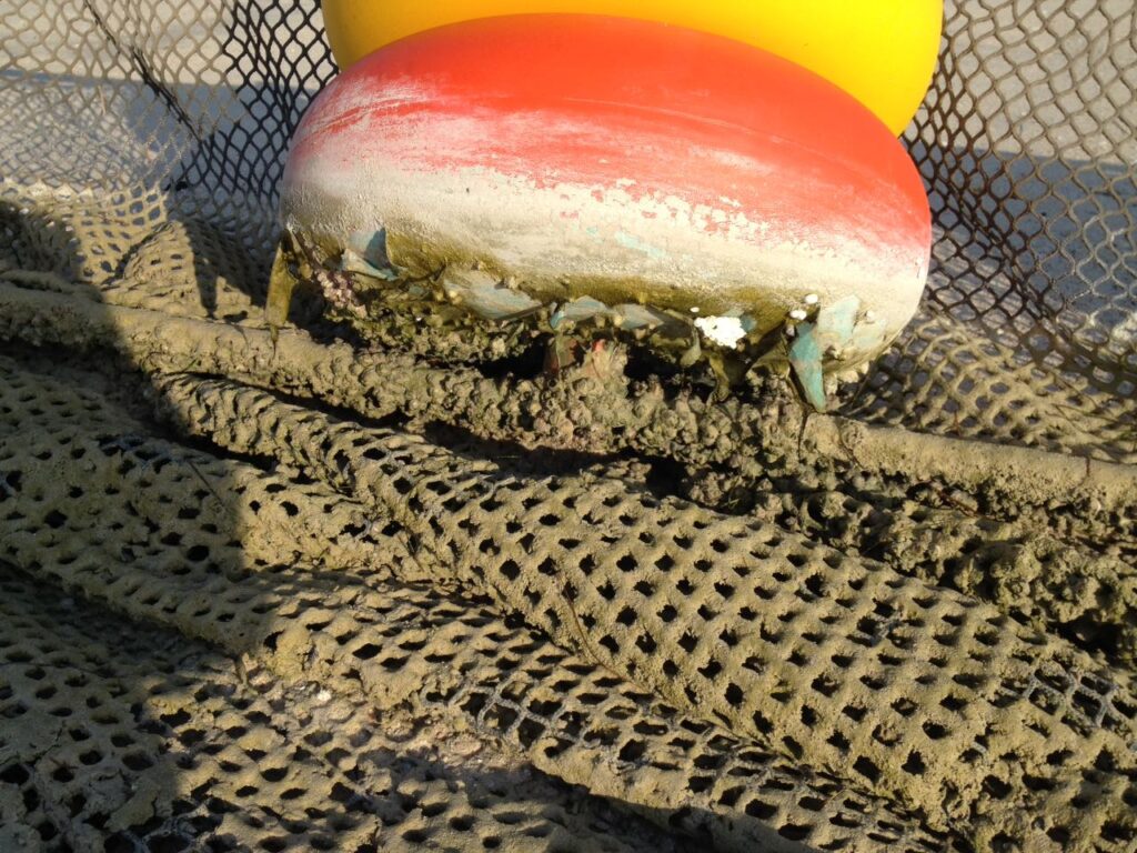 Enhancing Marine Barrier Performance With Antifouling Treatments - Ecocoast